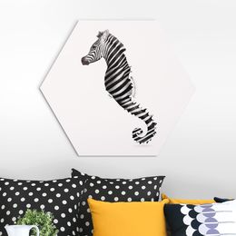 Bilderwelten Alu-Dibond Bild Hexagon Tiere schwarz weiss Fotomontage - Seepferdchen mit Zebrastreifen - Fische Wohnzimmer Schlafzimmer