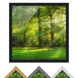 Bild mit Rahmen Spaziergang im Wald