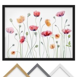 Blumen Bild mit Rahmen Klatschmohn Party
