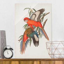 Glasbild Tiere Tropische Papageien I