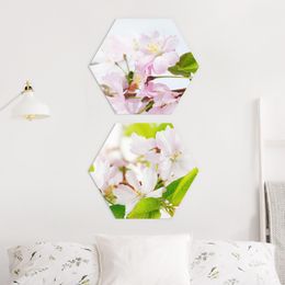 2-teiliges Hexagon-Alu-Dibond Bild Zierkirsche mit Blüten