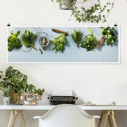 Panorama Poster Küche Gebündelte Kräuter