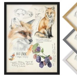 Bilderwelten Bild mit Rahmen Blumen orange Tropisch Aquarell - Wildnis Journal - Fuchs - Spr&uuml;che Wohnzimmer Schlafzimmer