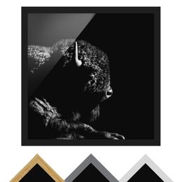 Bilderwelten Bild mit Rahmen Tiere schwarz weiss Motiv inkl. Rahmung - Bison vor Schwarz - Deko Wohnzimmer Schlafzimmer