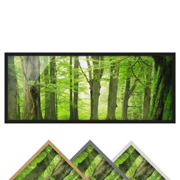 Bilderwelten Bild mit Rahmen Wald grün Motiv 3D-Effekt - Mighty Beech Trees - Bäume Wohnzimmer Schlafzimmer