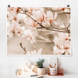 Bilderwelten Poster Wald braun Vintage matt gl&auml;nzend selbstklebend - Magnolienzweige im Vintagestil - B&auml;ume Wohnzimmer Schlafzimmer
