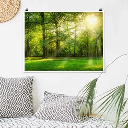 Bilderwelten Poster Wald gr&uuml;n Motiv matt gl&auml;nzend selbstklebend - Spaziergang im Wald - B&auml;ume Wohnzimmer Schlafzimmer