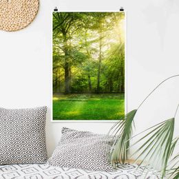 Bilderwelten Poster Wald gr&uuml;n Motiv matt gl&auml;nzend selbstklebend - Spaziergang im Wald - B&auml;ume Wohnzimmer Schlafzimmer