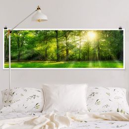 Bilderwelten Poster Wald gr&uuml;n Motiv matt gl&auml;nzend selbstklebend - Spaziergang im Wald - B&auml;ume Wohnzimmer Schlafzimmer