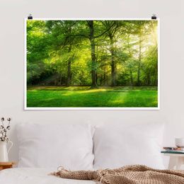 Bilderwelten Poster Wald gr&uuml;n Motiv matt gl&auml;nzend selbstklebend - Spaziergang im Wald - B&auml;ume Wohnzimmer Schlafzimmer