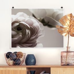 Bilderwelten Poster beige Motiv matt gl&auml;nzend selbstklebend - Dunkle Bl&uuml;te im Fokus - Rose Wohnzimmer Schlafzimmer