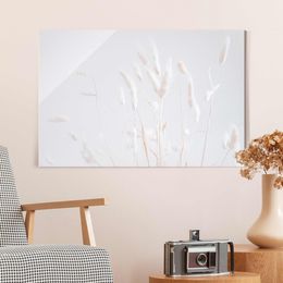 Bilderwelten Glasbild Blumen Landhaus beige Glas Wandbild - Zeit f&uuml;r Romantik - Gr&auml;ser Wohnzimmer Schlafzimmer