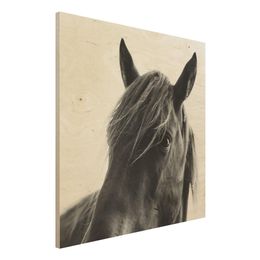 Holzbild Neugieriges Pferd