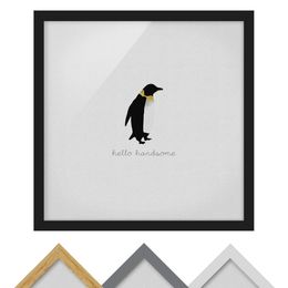 Bild mit Rahmen Pinguin Zitat Hello Handsome