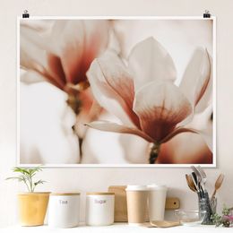 Bilderwelten Poster Blumen rosa Motiv matt gl&auml;nzend selbstklebend - Zarte Magnolienbl&uuml;ten im Lichtspiel - Wohnzimmer Schlafzimmer