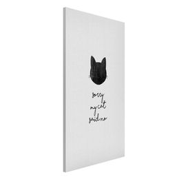 Magnettafel Haustier Zitat Sorry My Cat Said No