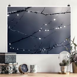 Bilderwelten Poster Wald blau Motiv matt gl&auml;nzend selbstklebend - Lichttropfen am Birkenzweig - B&auml;ume Wohnzimmer Schlafzimmer