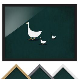 Bilderwelten Bild mit Rahmen Tiere petrol Illustration inkl. Rahmung - Familie Gans auf Wanderschaft - V&ouml;gel Kinderzimmer Baby M&auml;dchen Jungen