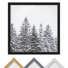 Bilderwelten Bild mit Rahmen Wald weiss Motiv inkl. Rahmung - Dunkle Winterlandschaft - B&auml;ume Wohnzimmer Schlafzimmer