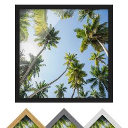 Bild mit Rahmen Palmen Himmel