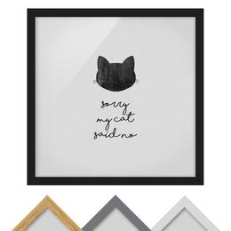 Bilderwelten Bild mit Rahmen Tiere schwarz weiss modern inkl. Rahmung - Haustier Zitat Sorry My Cat Said No - Katze Jugendzimmer