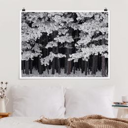 Bilderwelten Poster Wald schwarz weiss modern matt gl&auml;nzend selbstklebend - Wald mit Raureif in &Ouml;sterreich - B&auml;ume Wohnzimmer Schlafzimmer