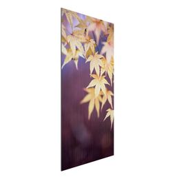 Alu-Dibond Bilder Herbstlicher Ahorn - Wandbild auf Alu-Verbundplatte Skyline Stadt Wohnzimmer Schlafzimmer Bad Badezimmer K&uuml;che Flur Esszimmer