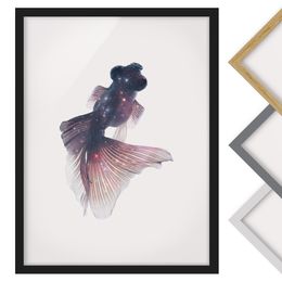 Bilderwelten Bild mit Rahmen Tiere violett Digital Art inkl. Rahmung - Fisch mit Galaxie - Fische Wohnzimmer Schlafzimmer