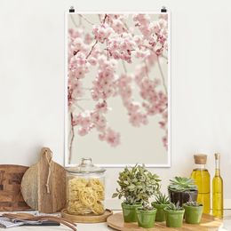 Bilderwelten Poster Blumen weiss Motiv matt gl&auml;nzend selbstklebend - Kirschbl&uuml;tentanz - Kirschbl&uuml;te Wohnzimmer Schlafzimmer