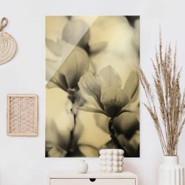 Bilderwelten Glasbild Blumen Motiv schwarz weiss Glas Wandbild - Zarte Magnolienbl&uuml;ten II - Deko Wohnzimmer Schlafzimmer