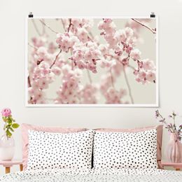 Bilderwelten Poster Blumen weiss Motiv matt gl&auml;nzend selbstklebend - Kirschbl&uuml;tentanz - Kirschbl&uuml;te Wohnzimmer Schlafzimmer