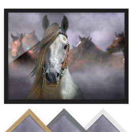 Bilderwelten Bild mit Rahmen Tiere einzigartig Abstrakt inkl. Rahmung - Horses in the Dust - Deko Wohnzimmer Schlafzimmer