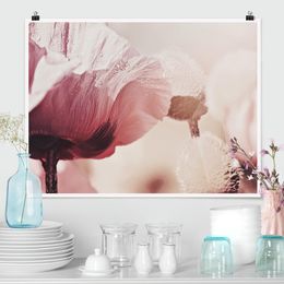 Bilderwelten Poster Blumen rosa Motiv matt gl&auml;nzend selbstklebend - Zartrosane Mohnbl&uuml;te mit Wassertropfen - Mohn Wohnzimmer Schlafzimmer