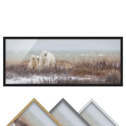 Tierbild mit Rahmen Eisb&auml;rin und ihre Jungen