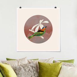 Poster Vogel Collage im Kreis II