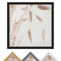 Bilderwelten Bild mit Rahmen Blumen beige Landhaus inkl. Rahmung - Zartes Glanzgras - Gr&auml;ser Wohnzimmer Schlafzimmer
