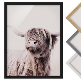Bilderwelten Bild mit Rahmen Tiere beige Motiv inkl. Rahmung - Hochlandrind Frida in Beige - Deko Wohnzimmer Schlafzimmer