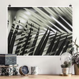 Bilderwelten Poster Natur gr&uuml;n Tropisch matt gl&auml;nzend selbstklebend - Schattenspiel auf Palmenwedel - Palme Wohnzimmer Schlafzimmer
