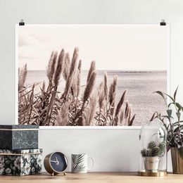 Bilderwelten Poster Blumen beige Landhaus matt gl&auml;nzend selbstklebend - Ein sonniger Tag auf Madeira - Gr&auml;ser Wohnzimmer Schlafzimmer