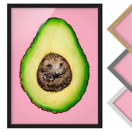 Bild mit Rahmen Avocado mit Igel