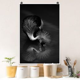 Bilderwelten Poster Tiere schwarz weiss Motiv matt gl&auml;nzend selbstklebend - Kronenkranich Verbeugung Schwarz Wei&szlig; - V&ouml;gel Wohnzimmer Schlafzimmer