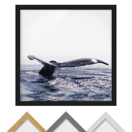 Bilderwelten Bild mit Rahmen Tiere blau Motiv inkl. Rahmung - Wal Gesang auf Island - Deko Wohnzimmer Schlafzimmer