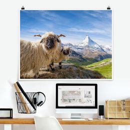 Bilderwelten Poster Natur blau Motiv matt gl&auml;nzend selbstklebend - Schwarznasenschafe von Zermatt - Schweiz Wohnzimmer Schlafzimmer