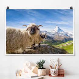 Bilderwelten Poster Natur blau Motiv matt gl&auml;nzend selbstklebend - Schwarznasenschafe von Zermatt - Schweiz Wohnzimmer Schlafzimmer