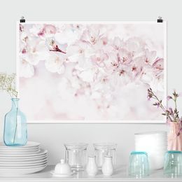 Bilderwelten Poster Blumen rosa Landhaus matt gl&auml;nzend selbstklebend - Ein Kirschbl&uuml;tenhauch - Kirschbl&uuml;te Wohnzimmer Schlafzimmer