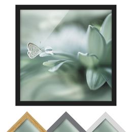 Bilderwelten Bild mit Rahmen Blumen pastell Tropisch inkl. Rahmung - Schmetterling und Tautropfen in Pastellgr&uuml;n - Pflanzen Wohnzimmer Schlafzimmer