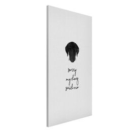 Magnettafel Haustier Zitat Sorry My Dog Said No