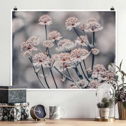 Bilderwelten Poster Blumen braun Landhaus matt gl&auml;nzend selbstklebend - Mystischer Bl&uuml;tenstrauch - Gr&auml;ser Wohnzimmer Schlafzimmer