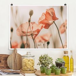 Bilderwelten Poster Blumen rot Motiv matt gl&auml;nzend selbstklebend - Mohnbl&uuml;ten im Sommerwind - Mohn Wohnzimmer Schlafzimmer