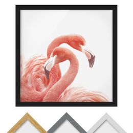 Bild mit Rahmen Zwei Flamingos